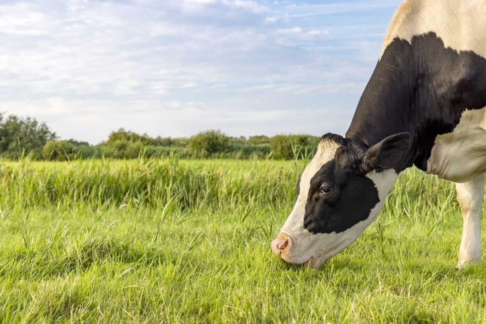 Home - MMT Services Ltd